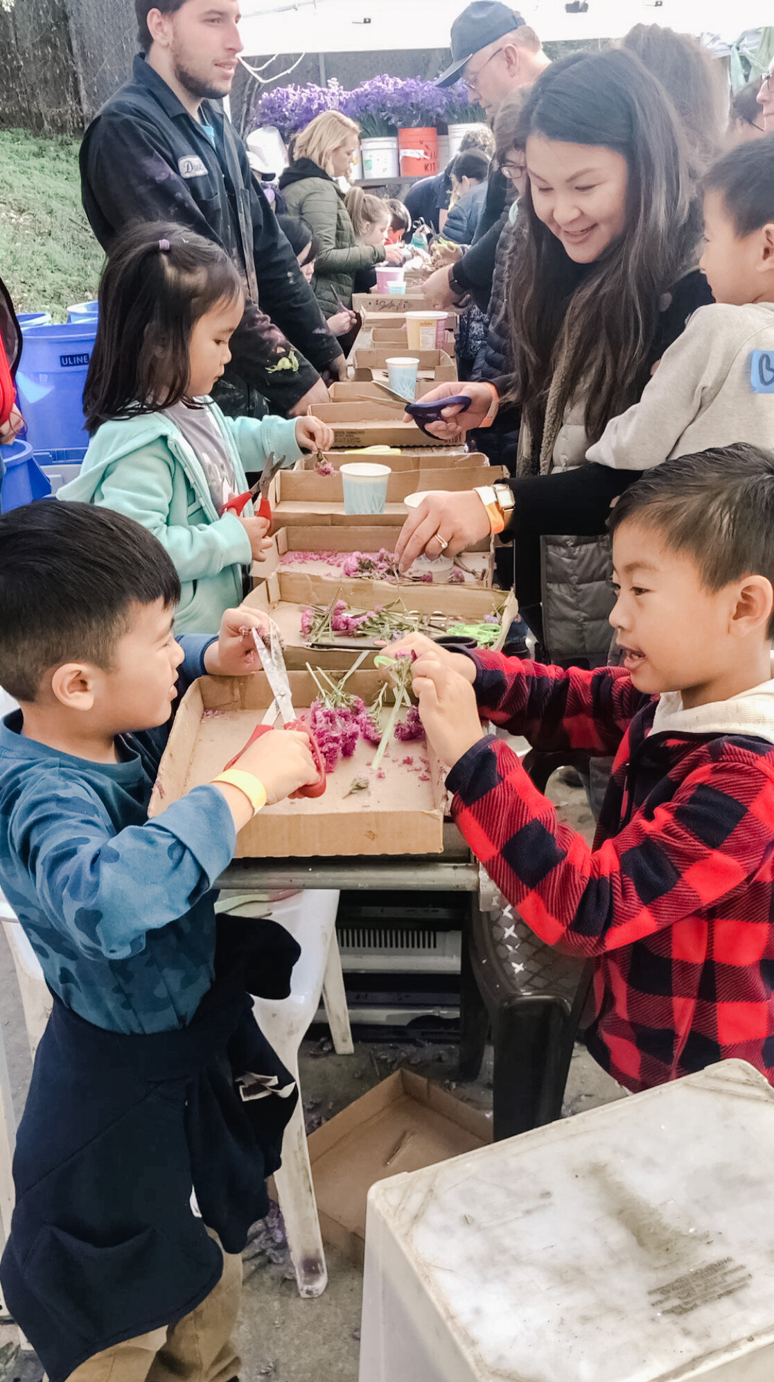 Rose Float Decorating with Kids — Hello Rascal Kids