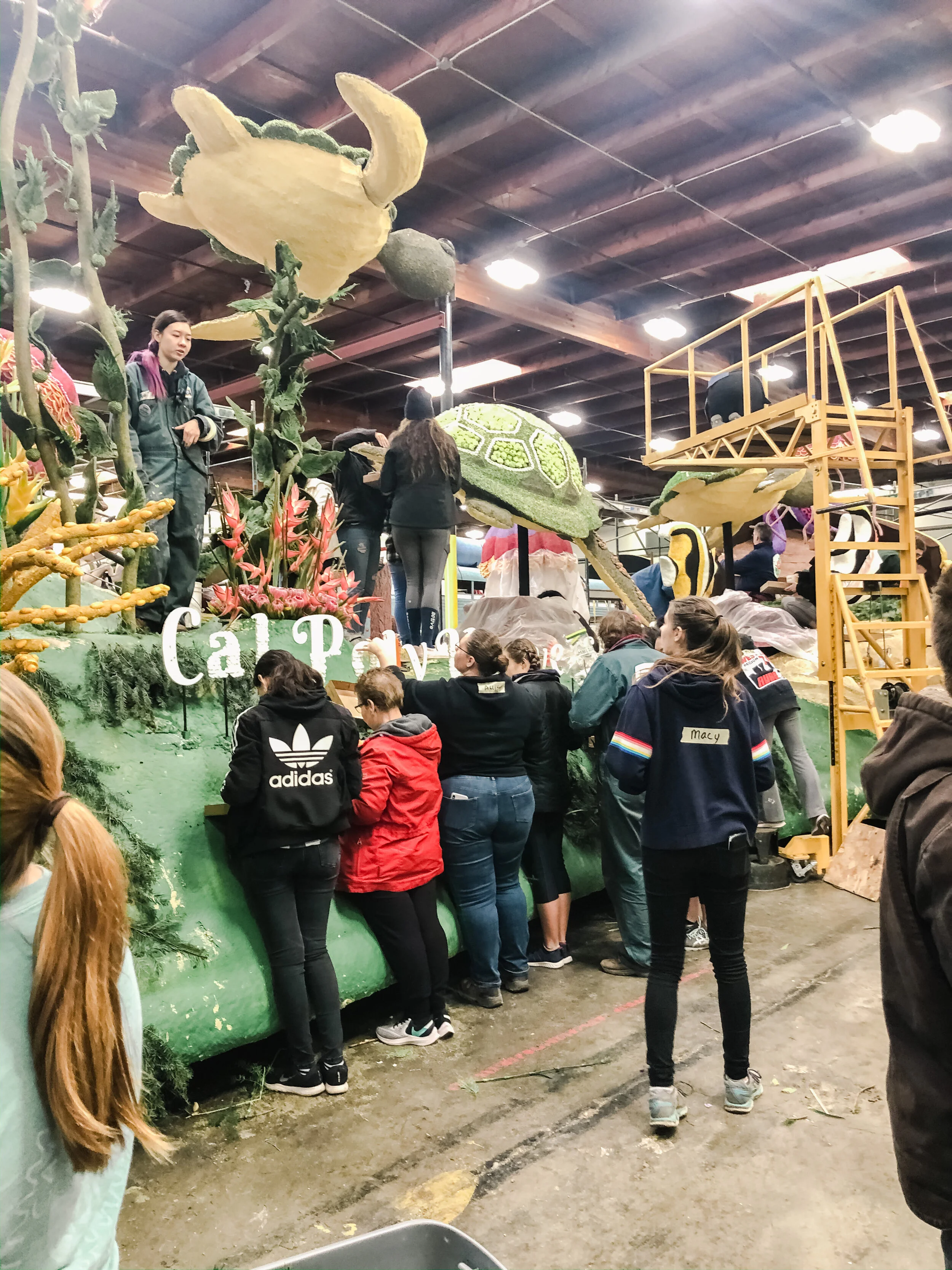 Rose Float Decorating with Kids — Hello Rascal Kids