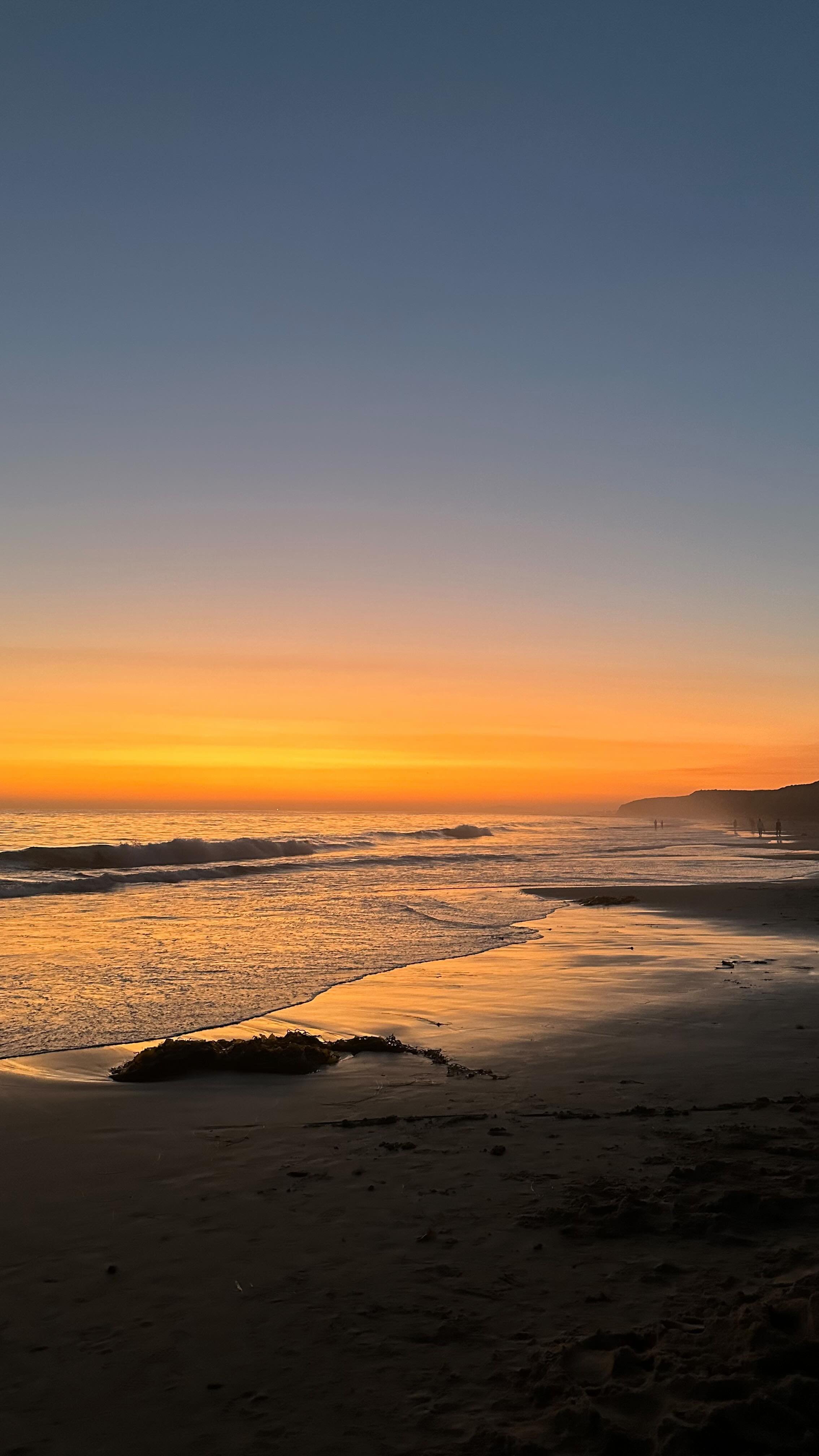 Contact Hello Rascal Kids