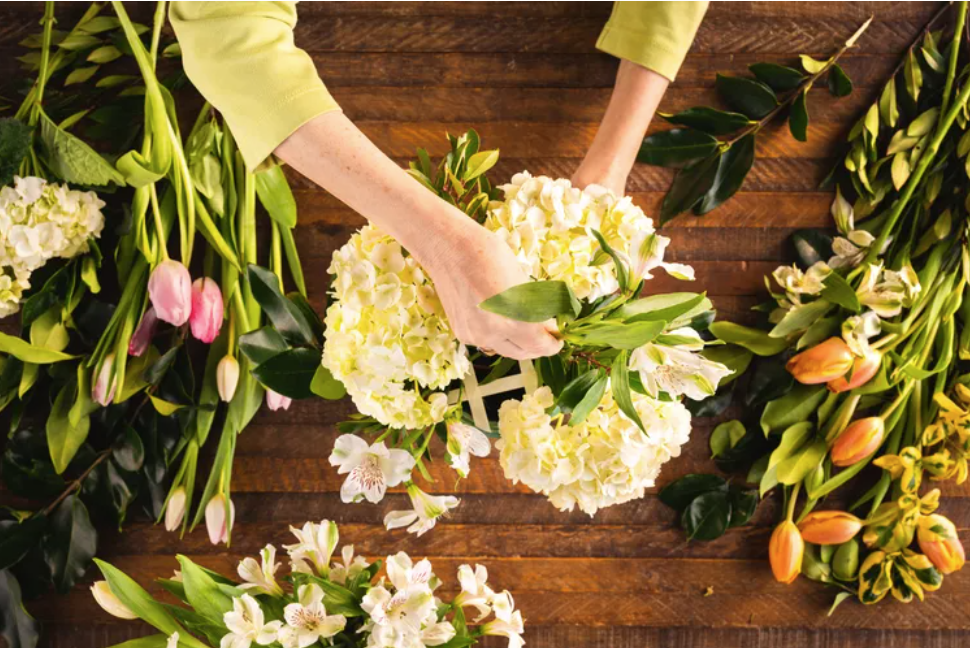 Lifestyle Blog for Kids and Families — Hello Rascal Kids