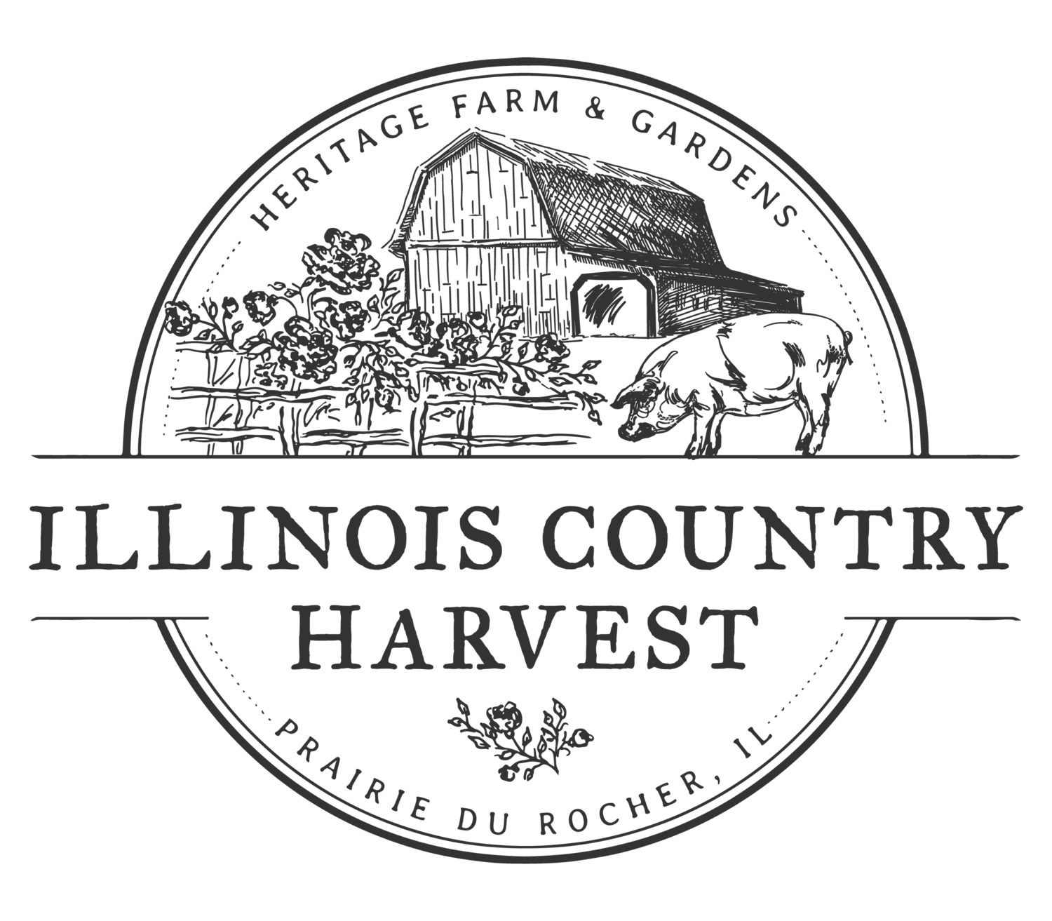 Our Grains Illinois Country Harvest our-grains-illinois-country-harvest