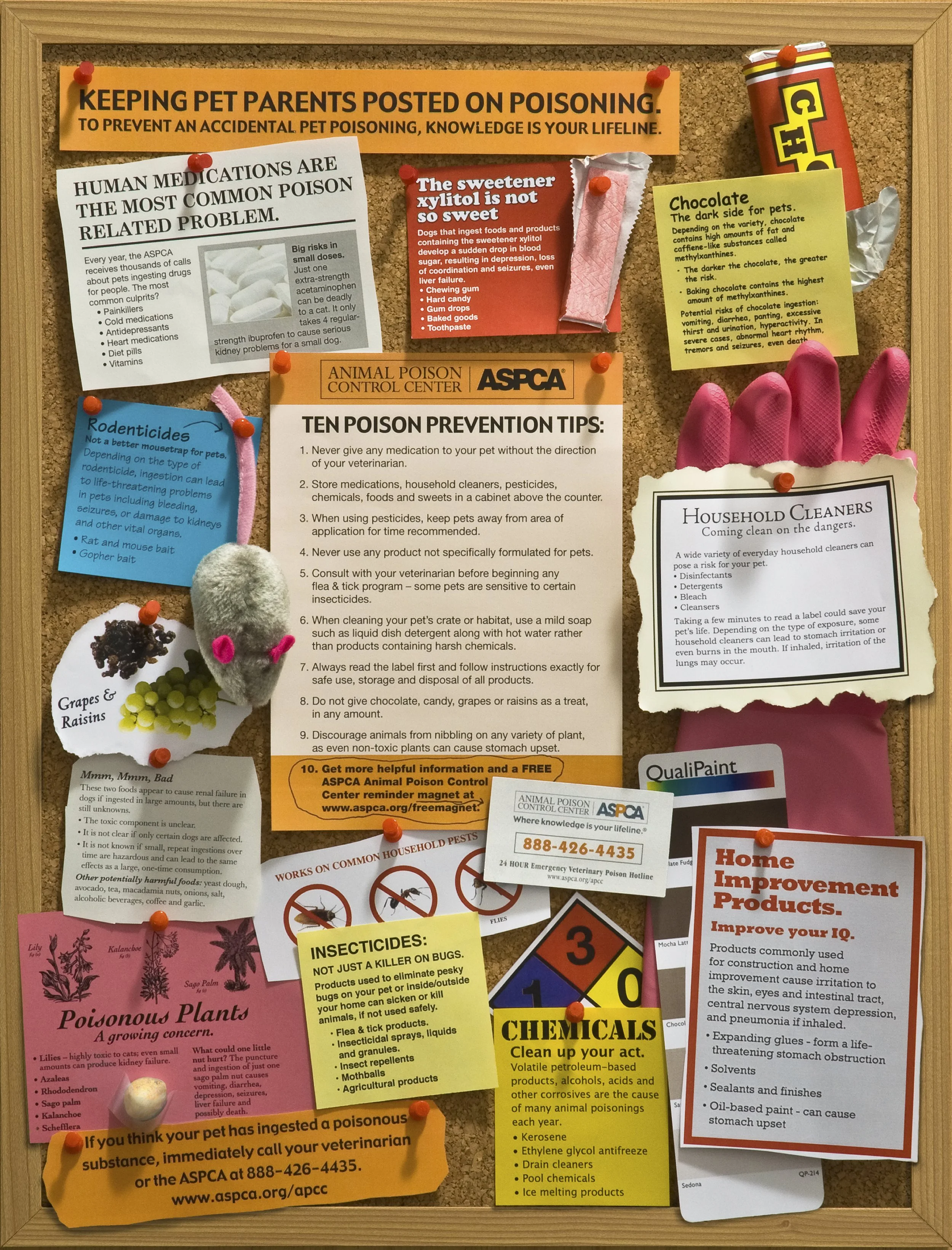 ASPCA Animal Poison Control Center — Peter Corcoran