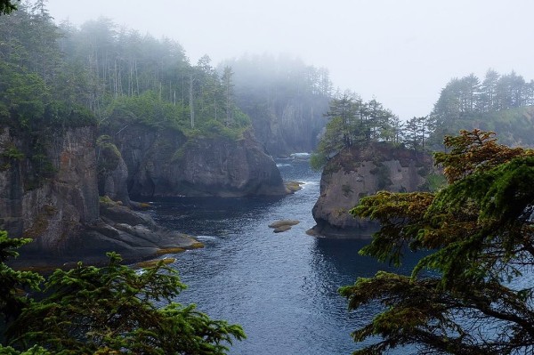 Camping on the Olympic Peninsula | Boundless Bakers