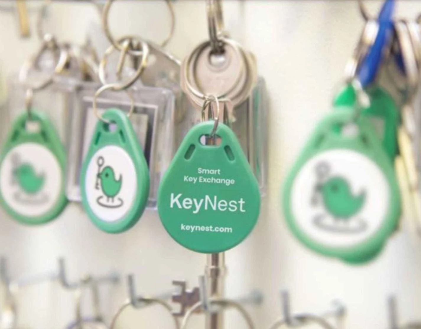 England's Rental Restrictions For Short-Term Lets Landlord In 2025