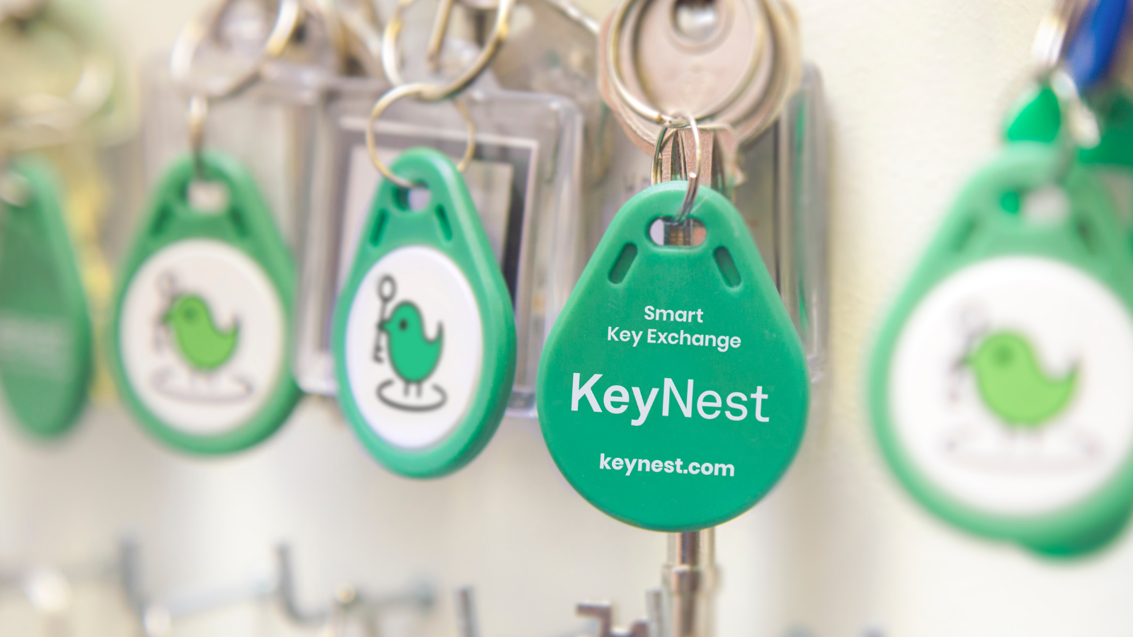 Top 5 key log systems for key management at scale