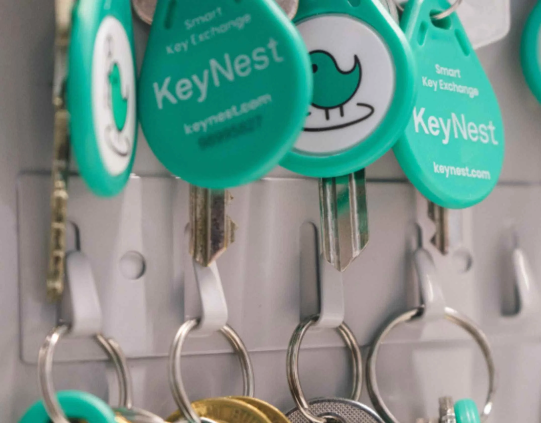 New On KeyNest Pro: Key Picture Functionality