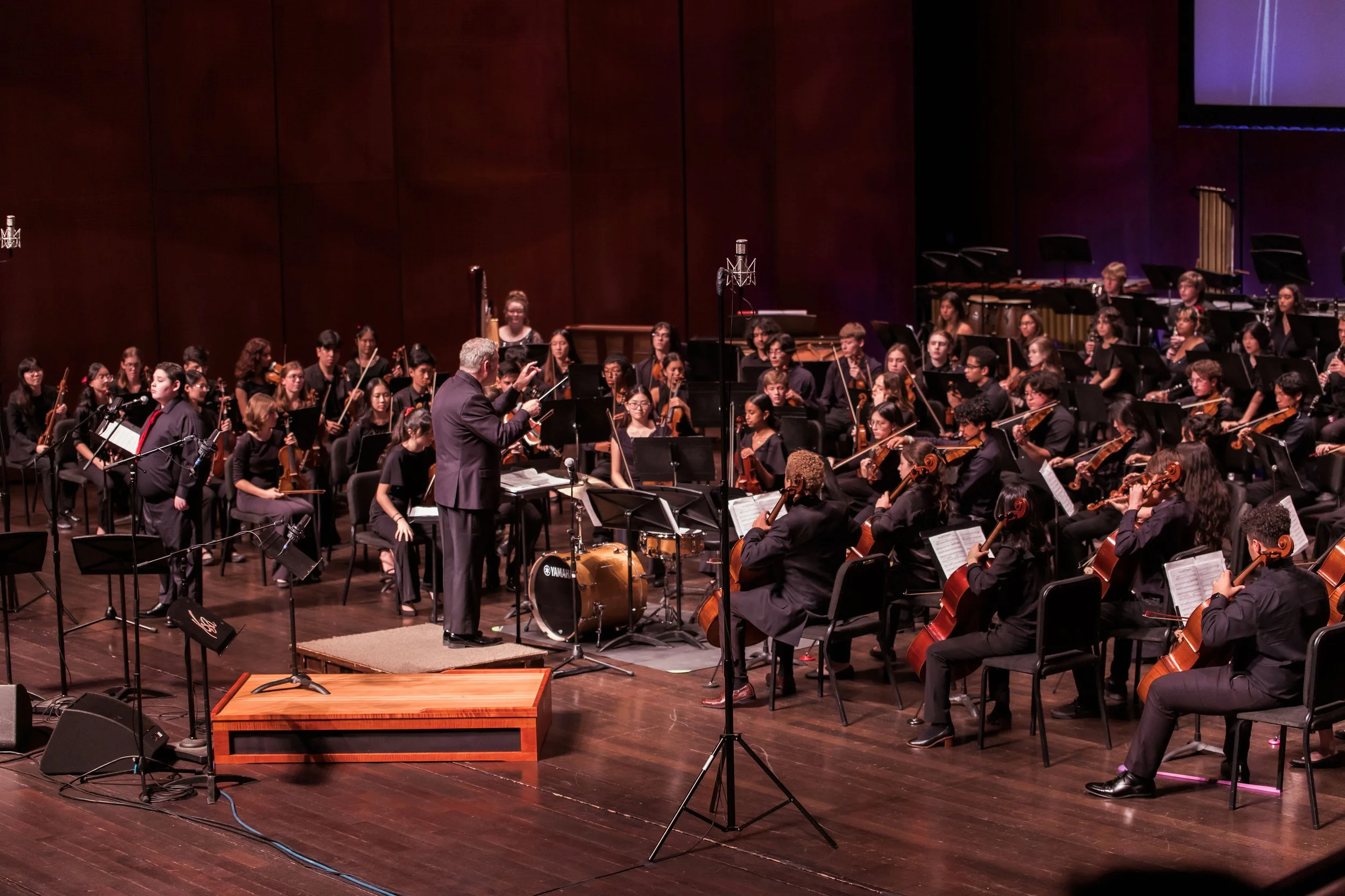 YOSA (Youth Orchestras of San Antonio)