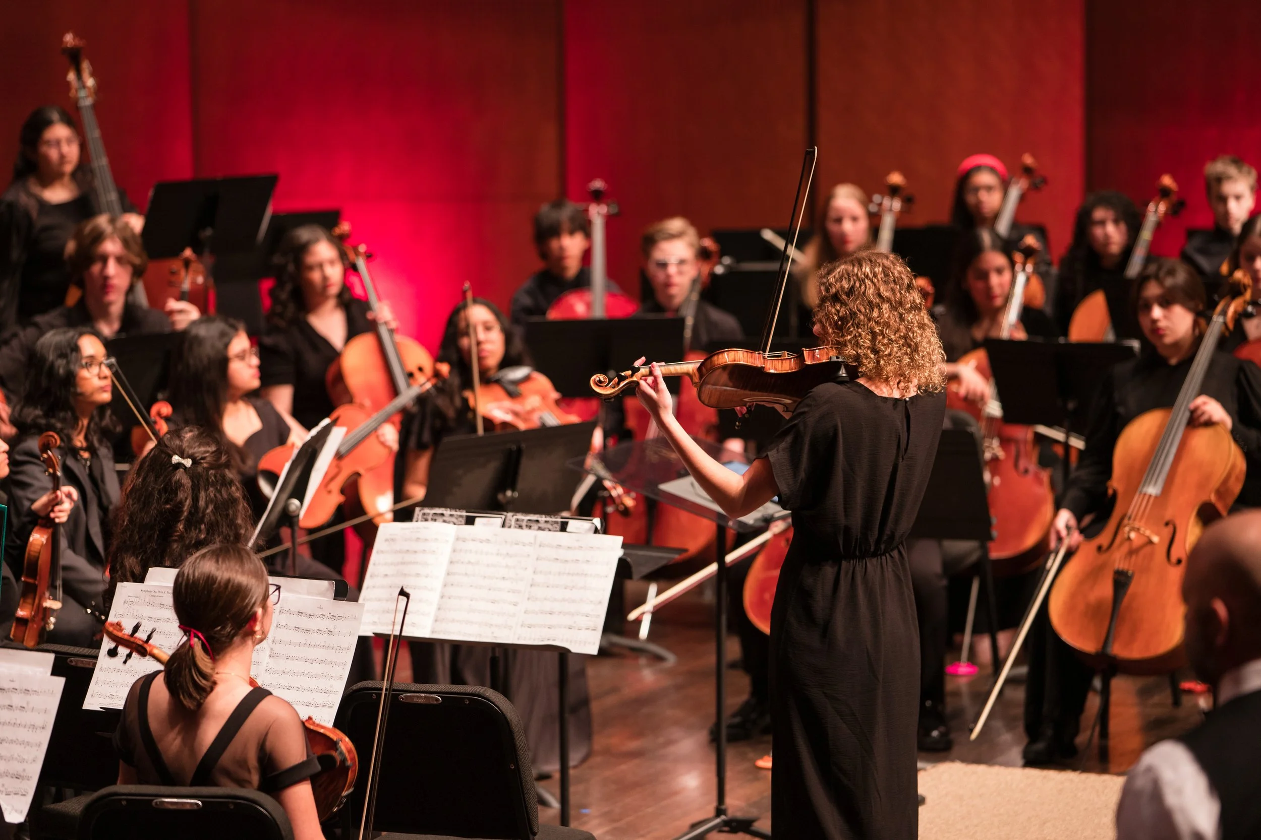YOSA — Orchestra Auditions