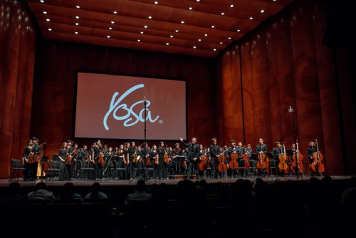 YOSA — Programs