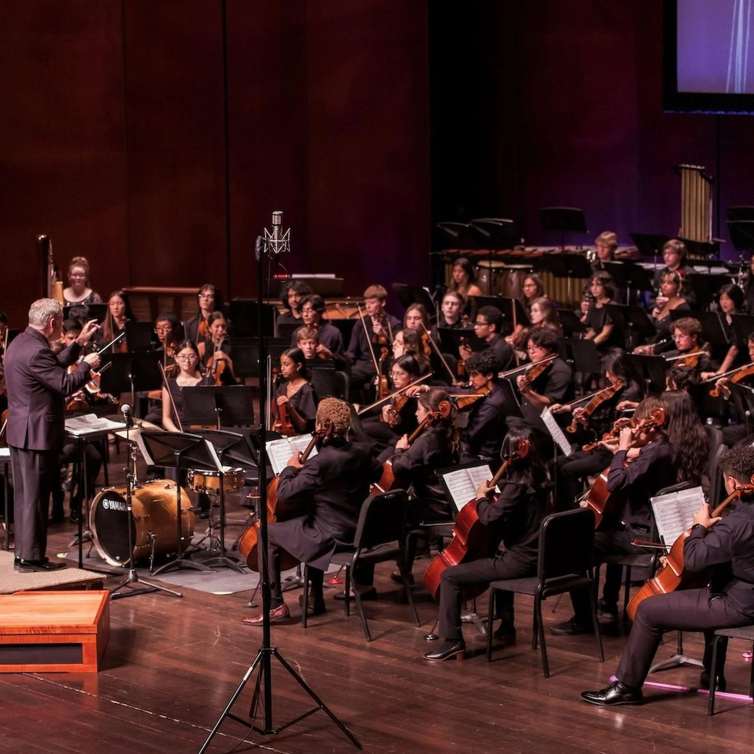 YOSA (Youth Orchestras of San Antonio)