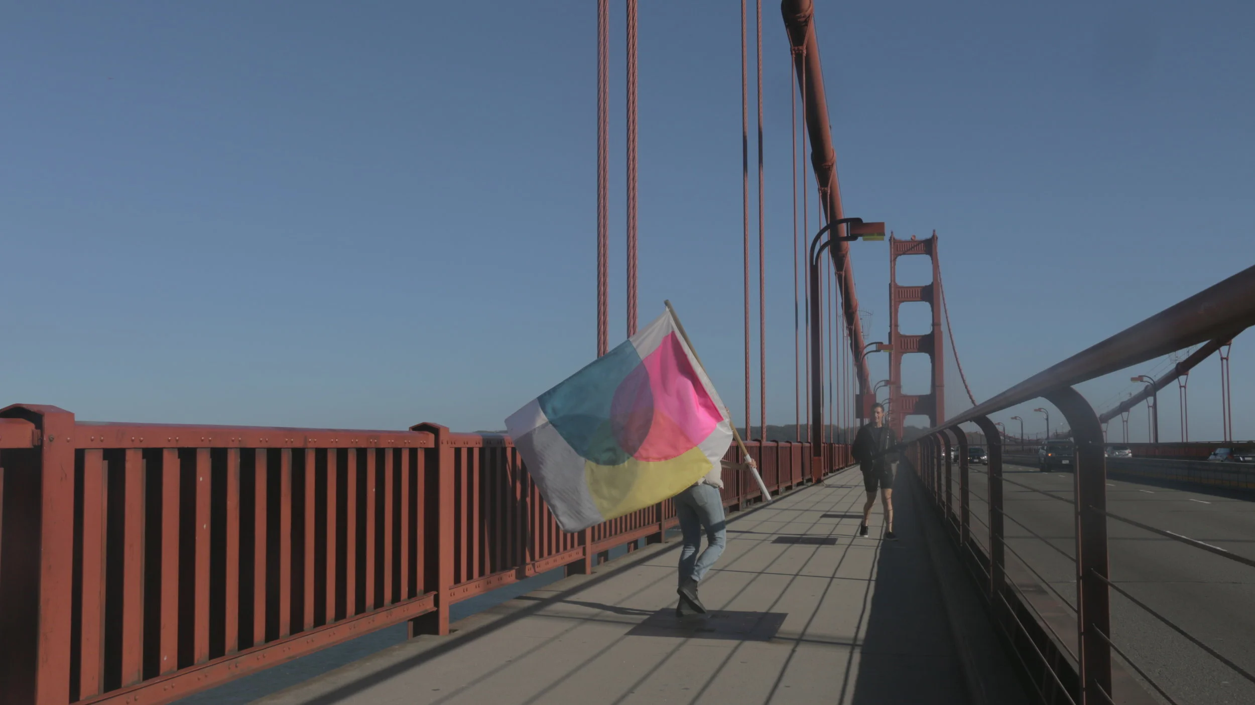 100 Days Action Flag — CRISTINA VICTOR