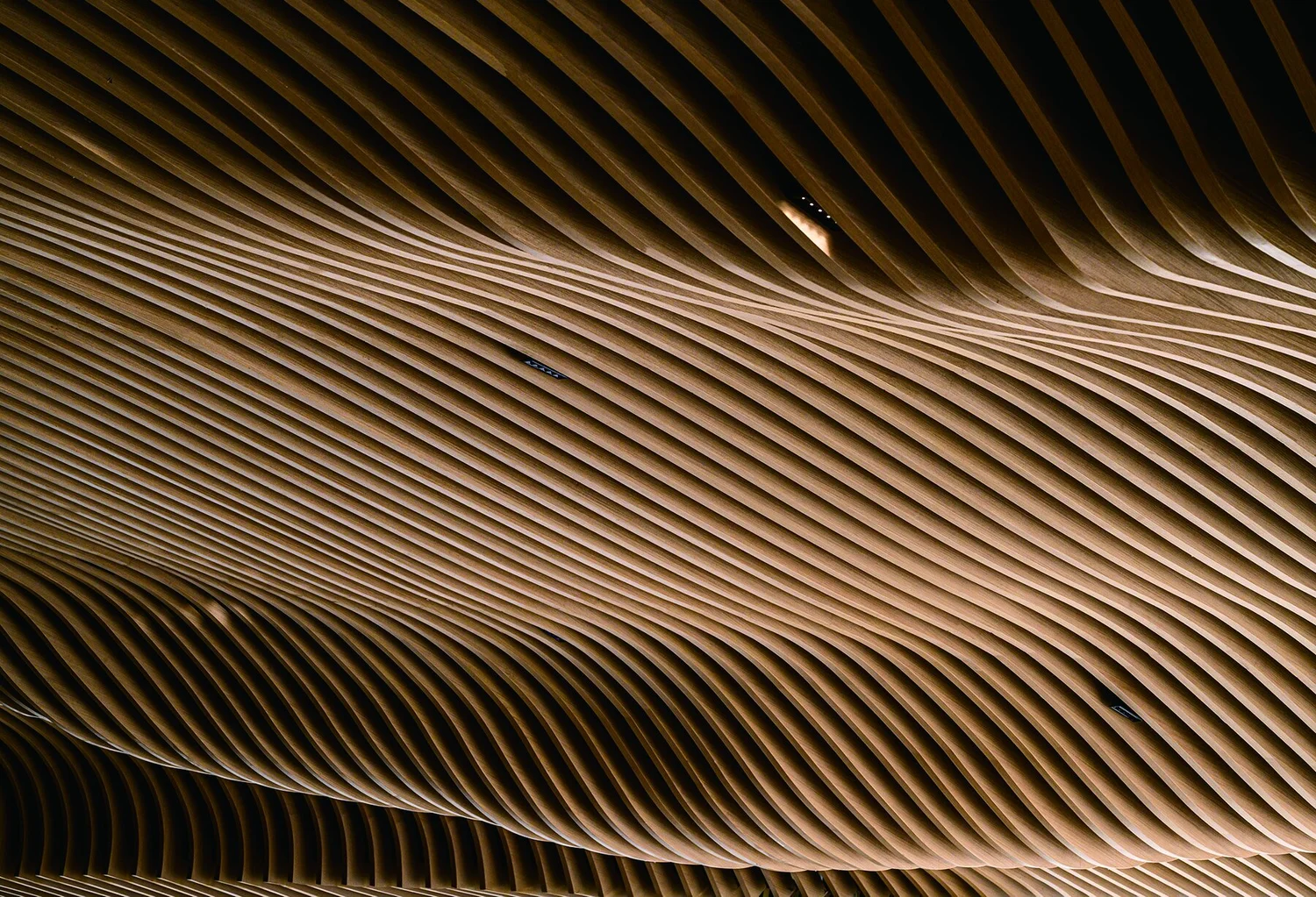 Fluid Space by Kris Lin International Design — Sky Design Awards