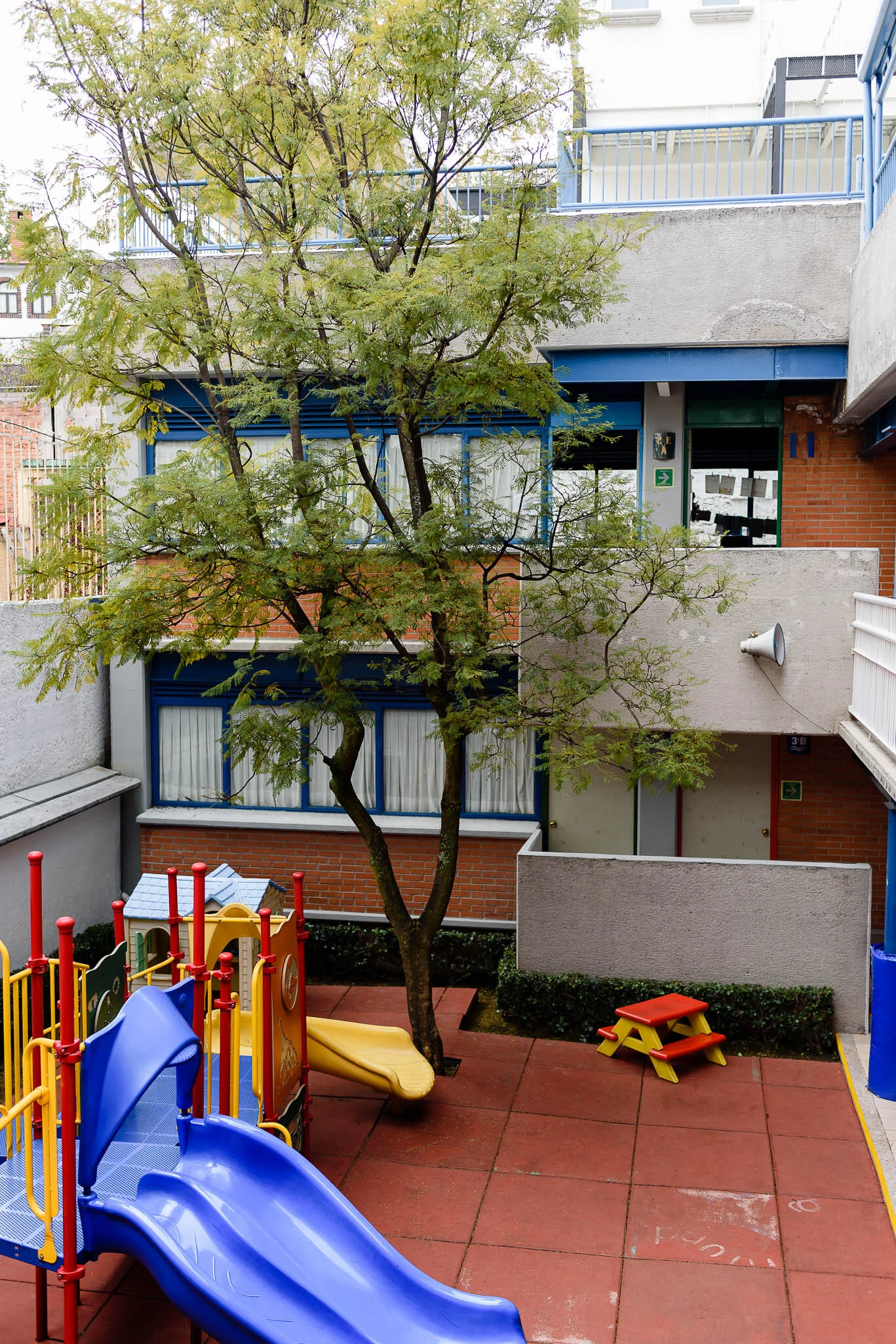 Kinder — Escuela Ameyalli