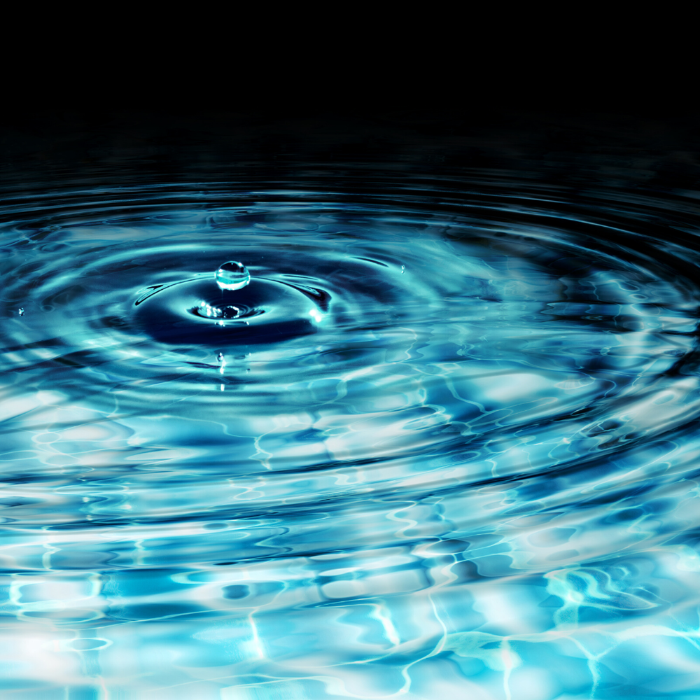 Historia — Escuela Ameyalli