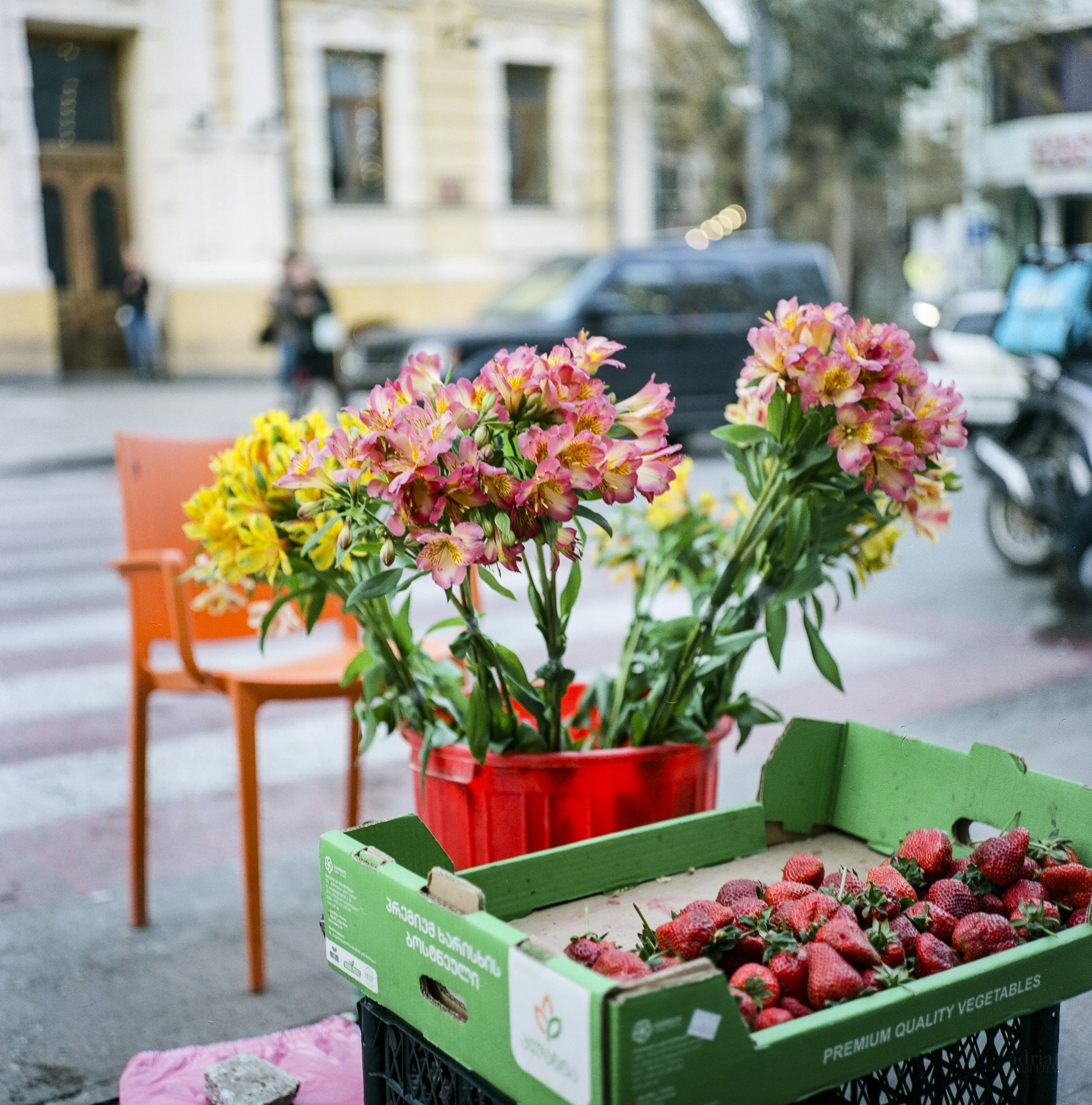 Rolleiflex Camera Guide: the Best Choice for Film Photographers Seeking ...