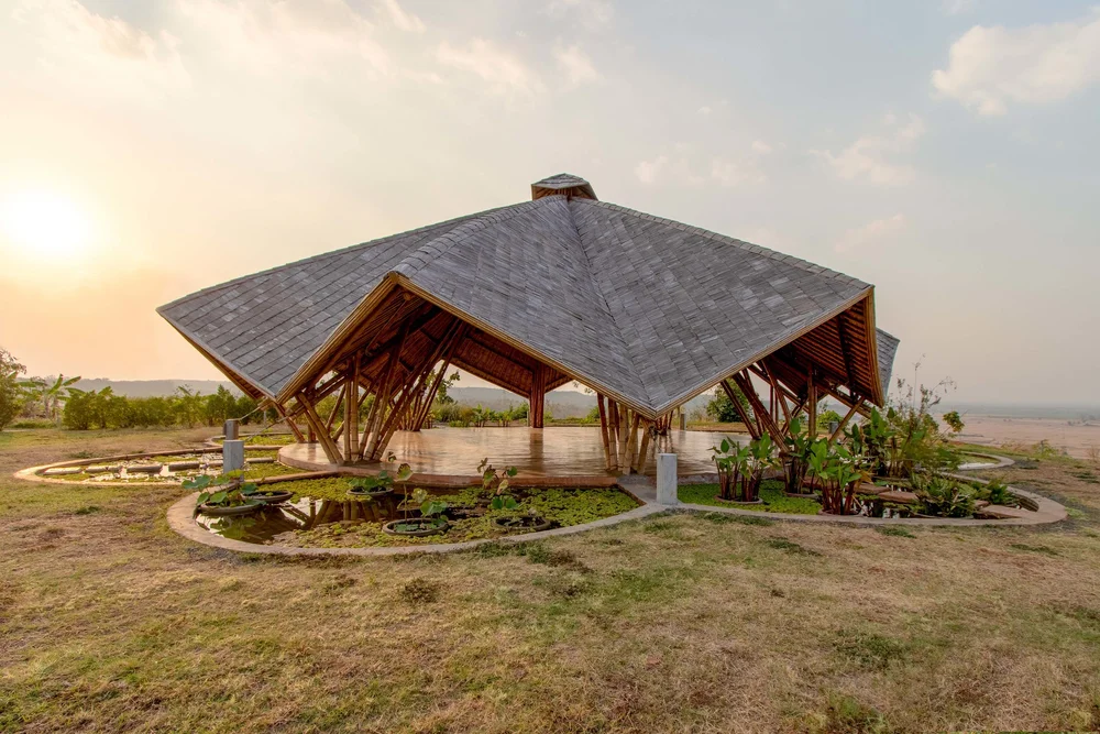 The Lotus Shala for Yoga & Meditation