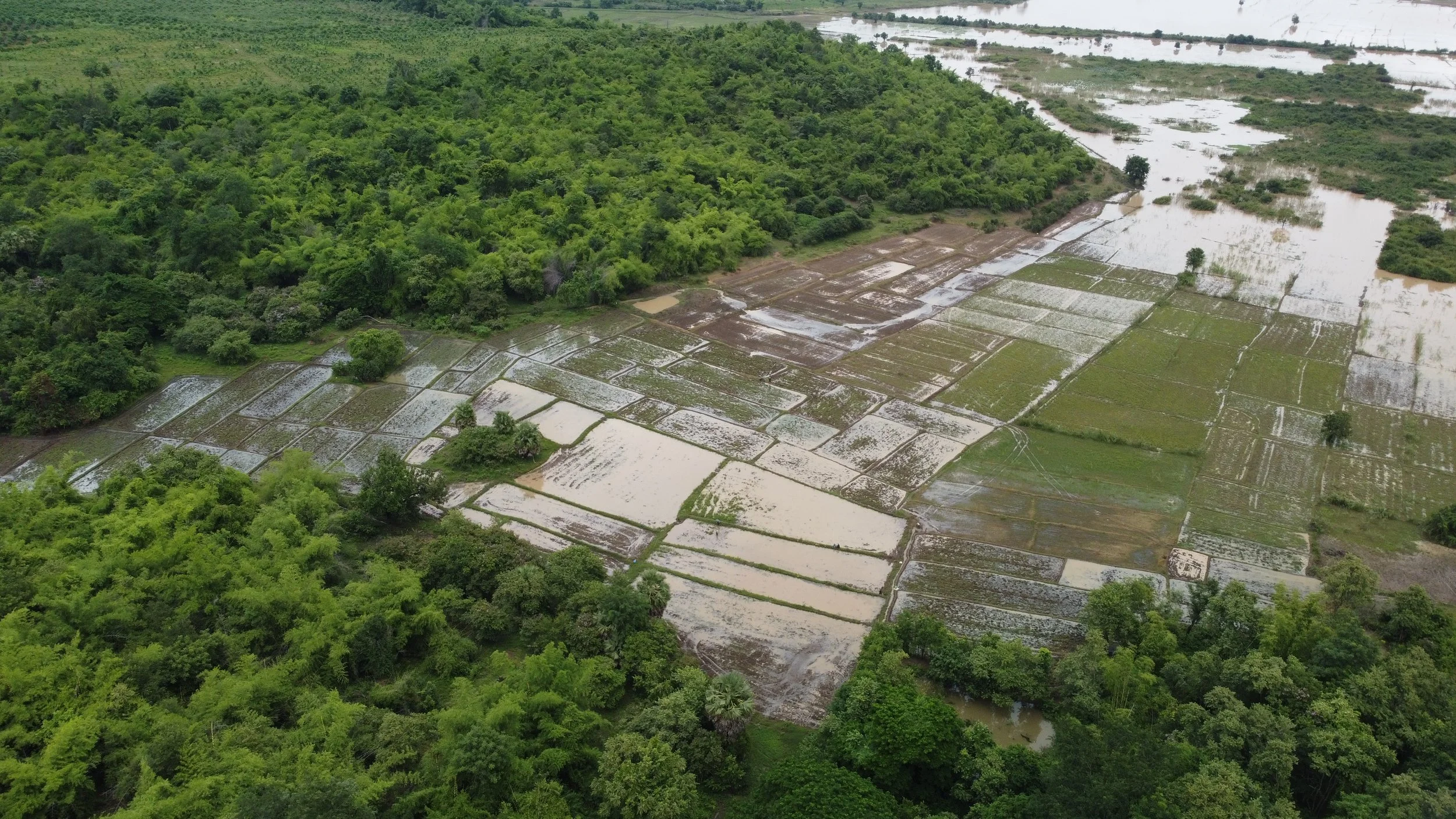 Hanchey Bamboo Resort - Luxury resort & Social Enteprise in Kampong ...