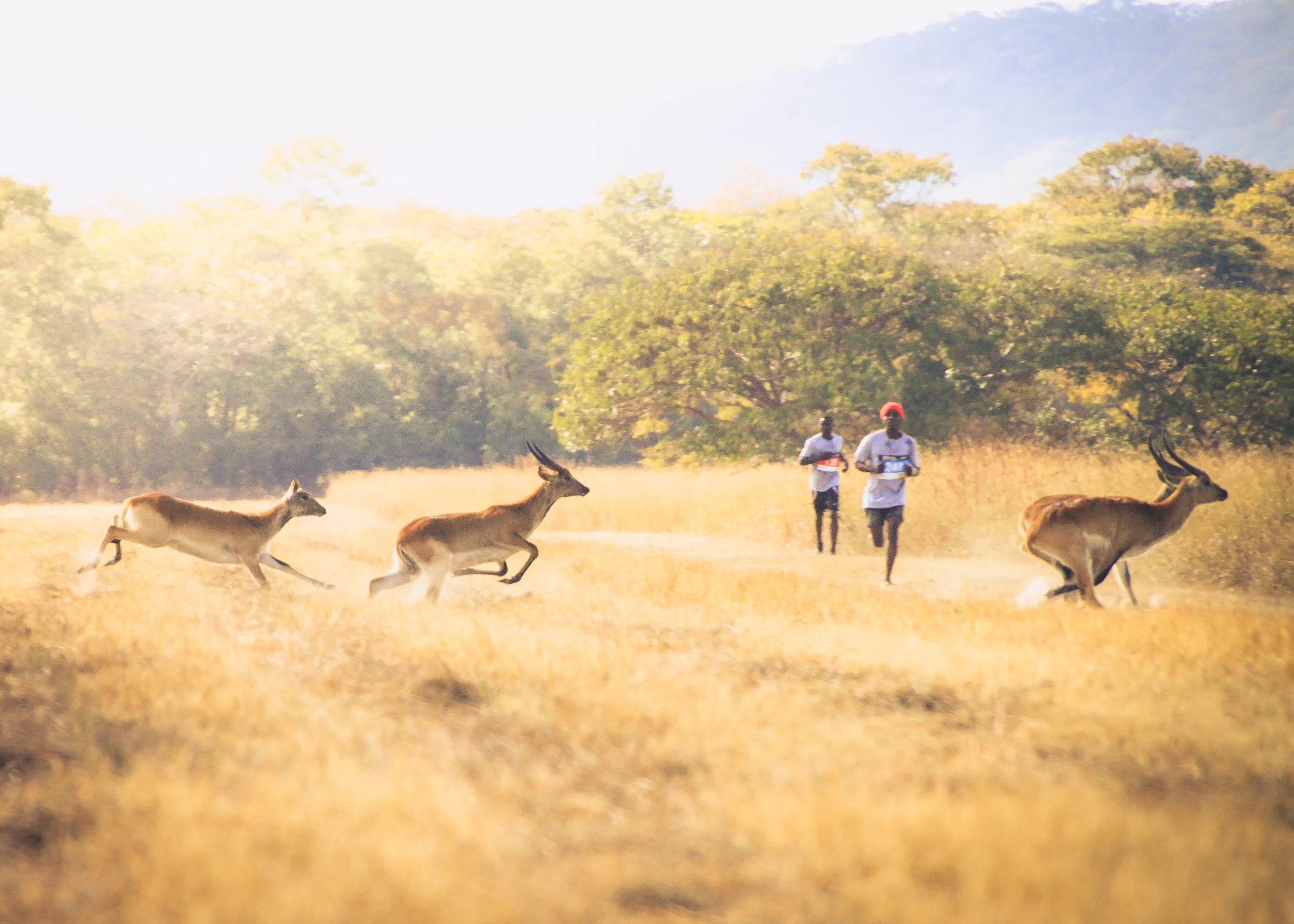 Tangila Trail Series