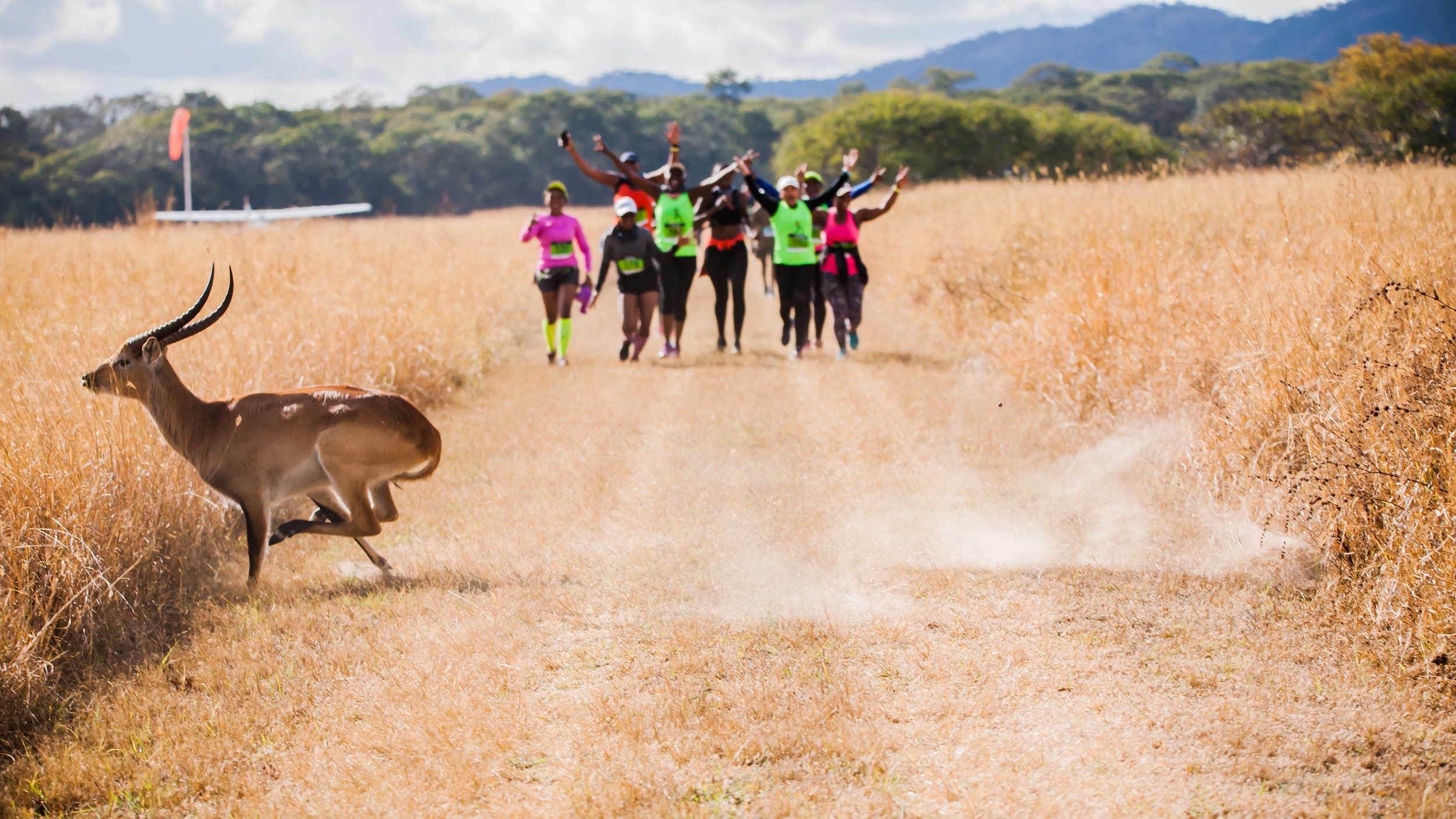 Tangila Trail Series