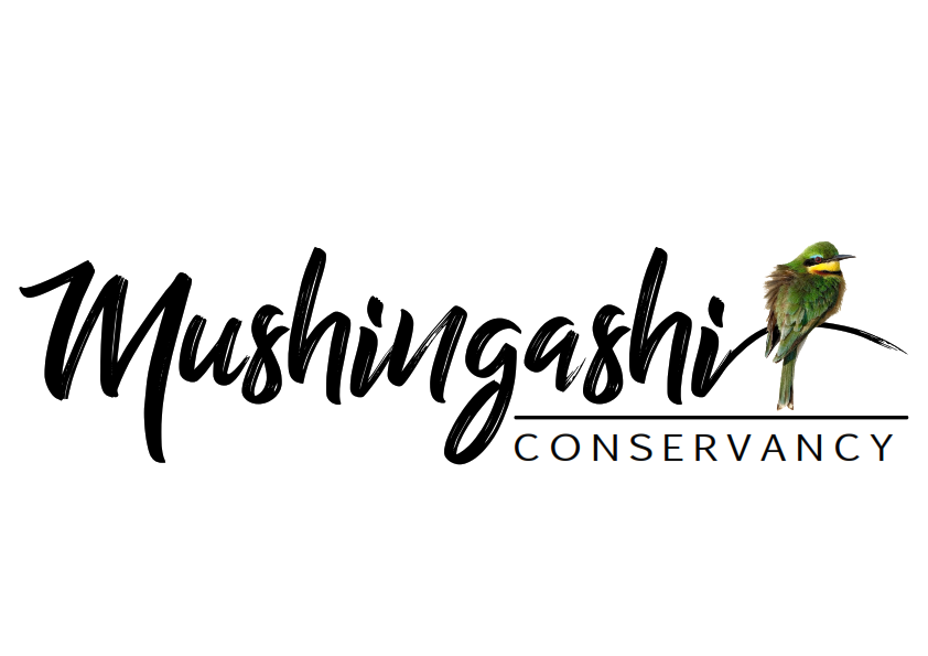 Sponsors — Tangila Trail Series