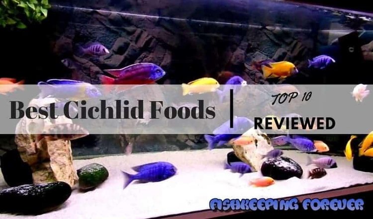 Fishkeeping Forever: Best Cichlid Foods - Top 10 Cichlid Foods Reviewed ...