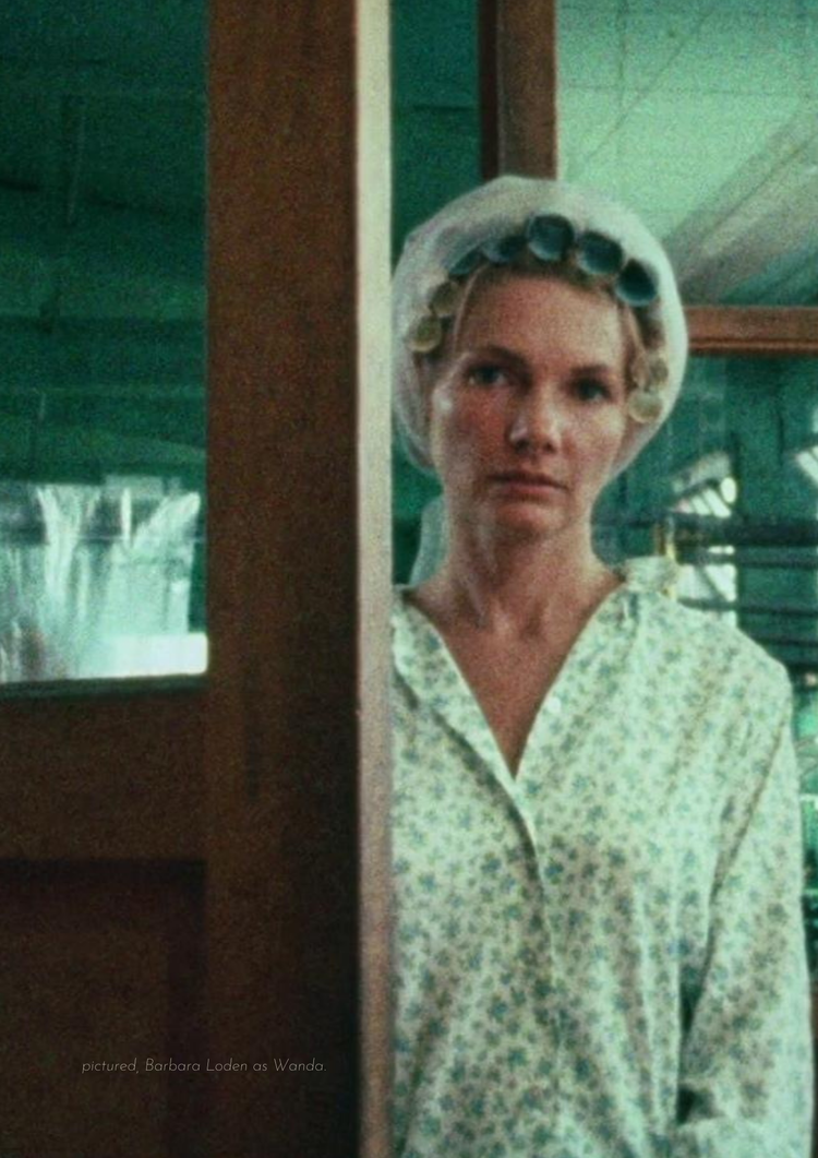 Barbara Loden: a Peek Into an Overlooked and Short-Lived Career — duck eyes