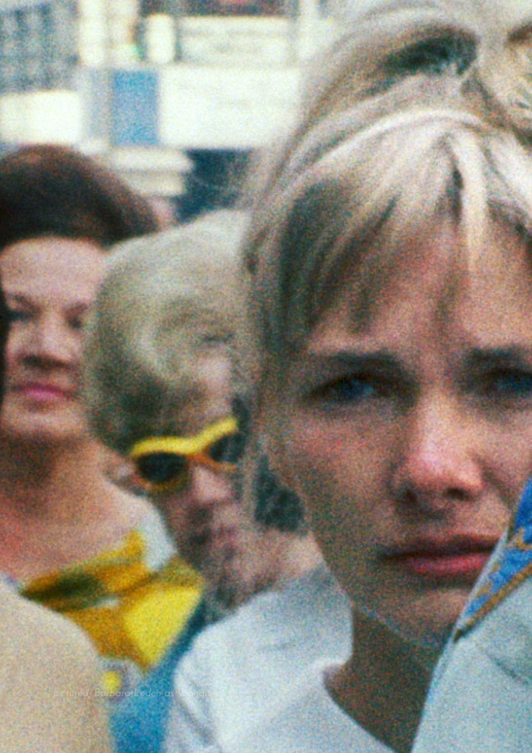 Barbara Loden: a Peek Into an Overlooked and Short-Lived Career — duck eyes