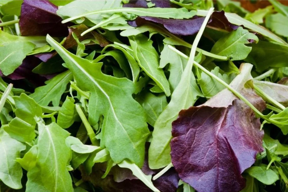 Mesclun Mix — Who Cooks For You Farm