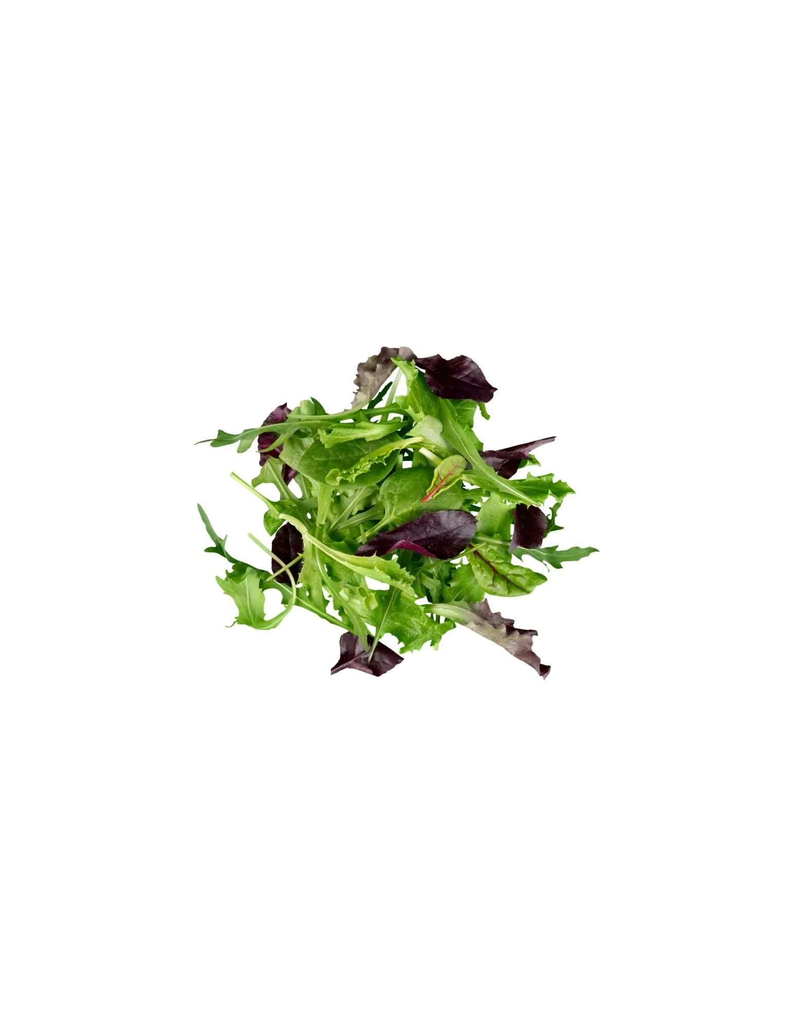 Spring Mix — Who Cooks For You Farm