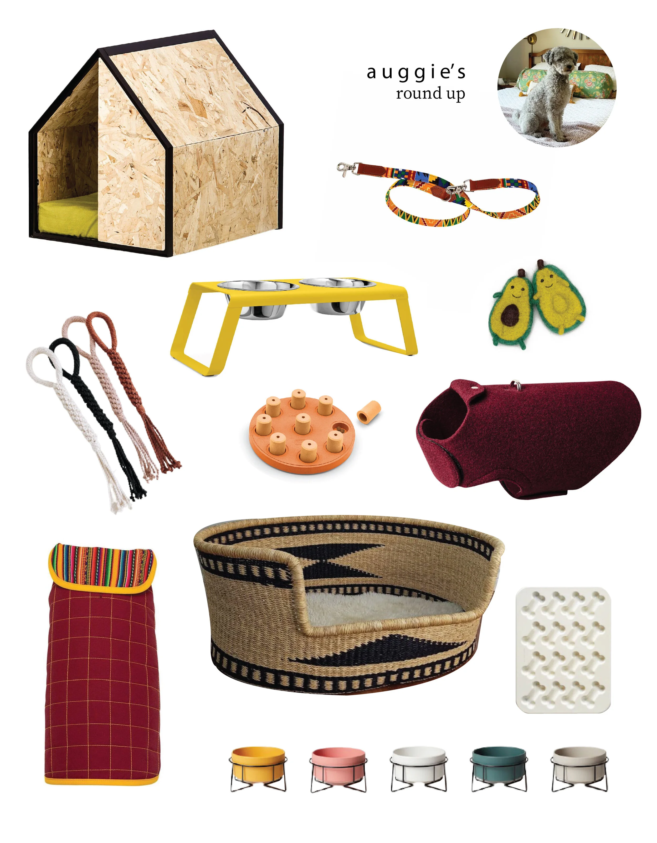 Design Friendly Dog Accessories