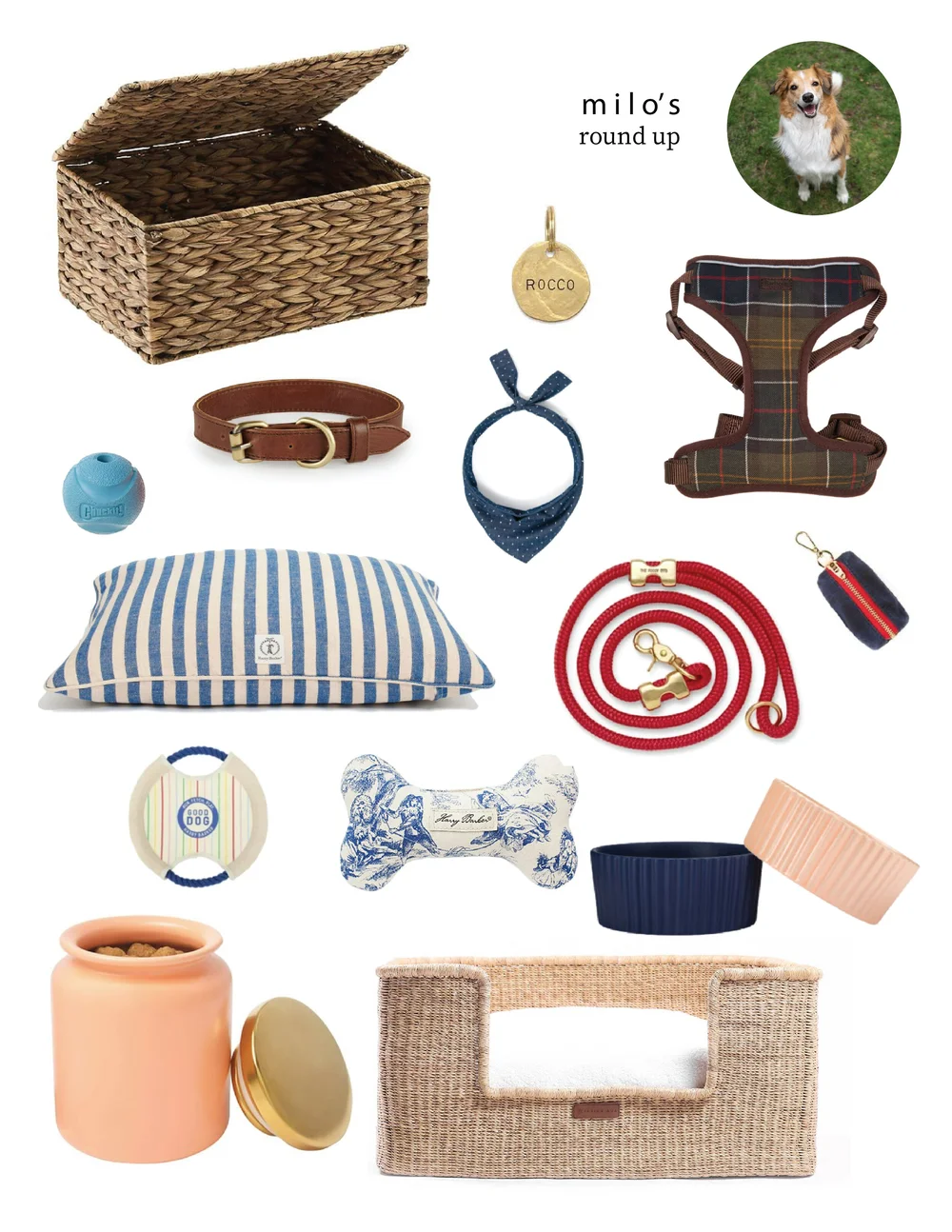 Design Friendly Dog Accessories