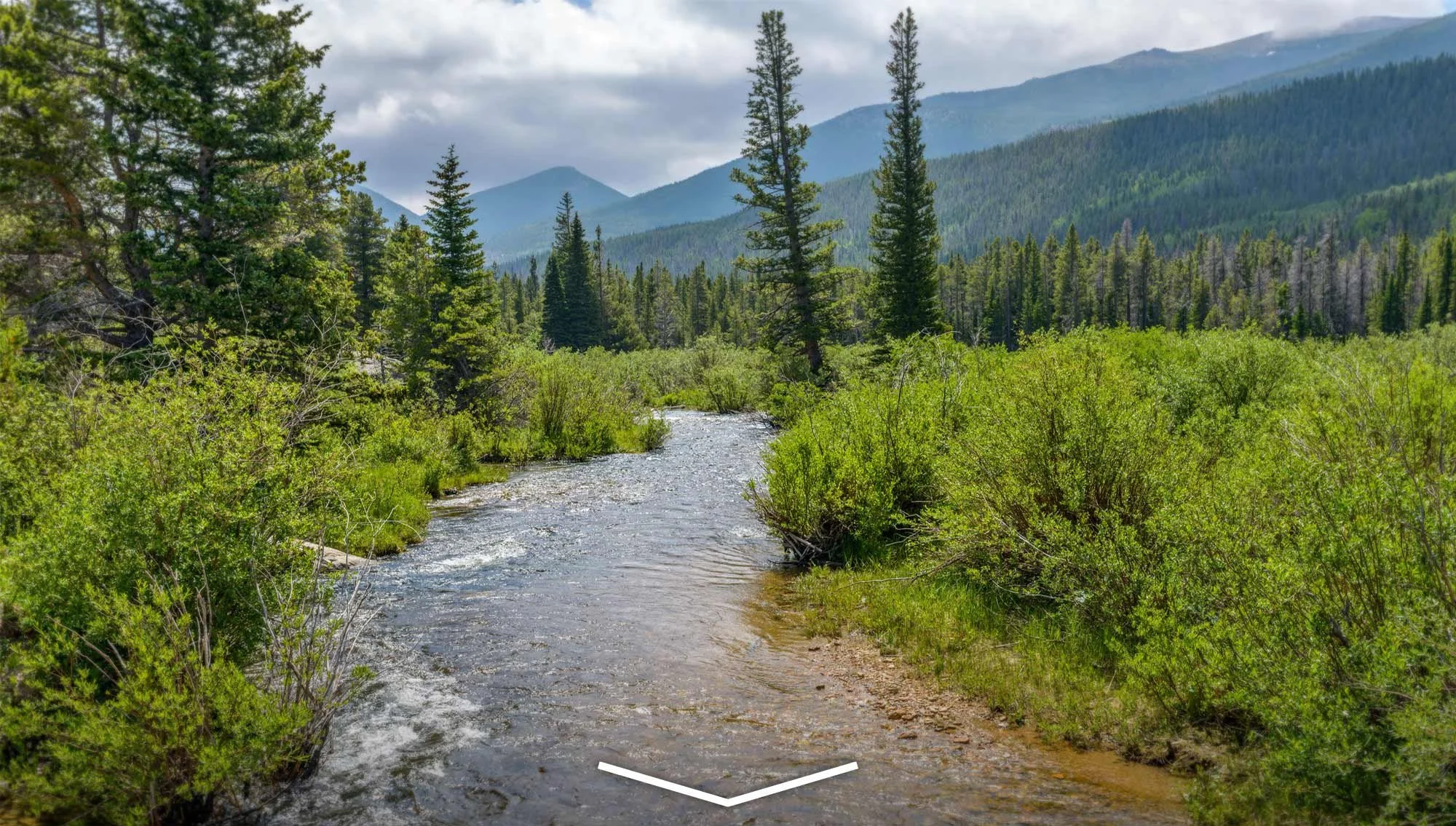 EcoAnalysts — Field sampling, consulting & laboratory services.