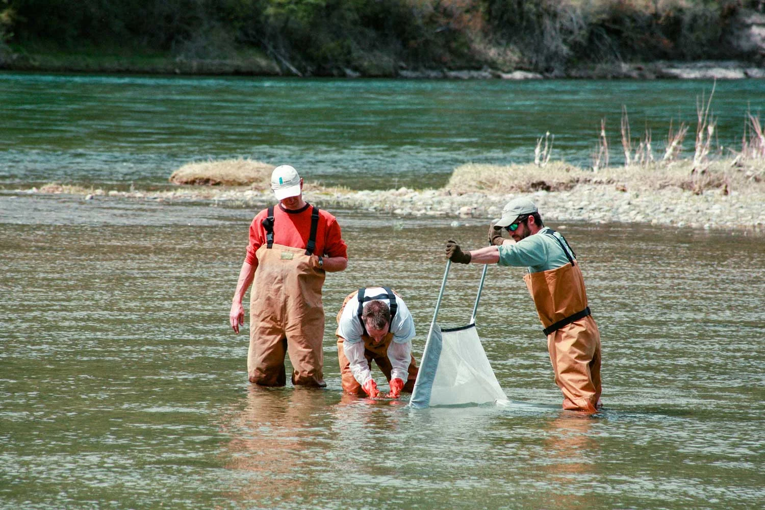 Aquatic Resource Inventories — EcoAnalysts, Inc.