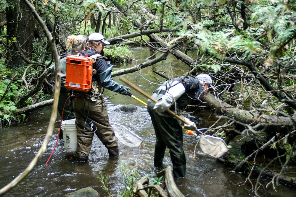 Backpack Electrofishing Equipment Rental — EcoAnalysts, Inc.