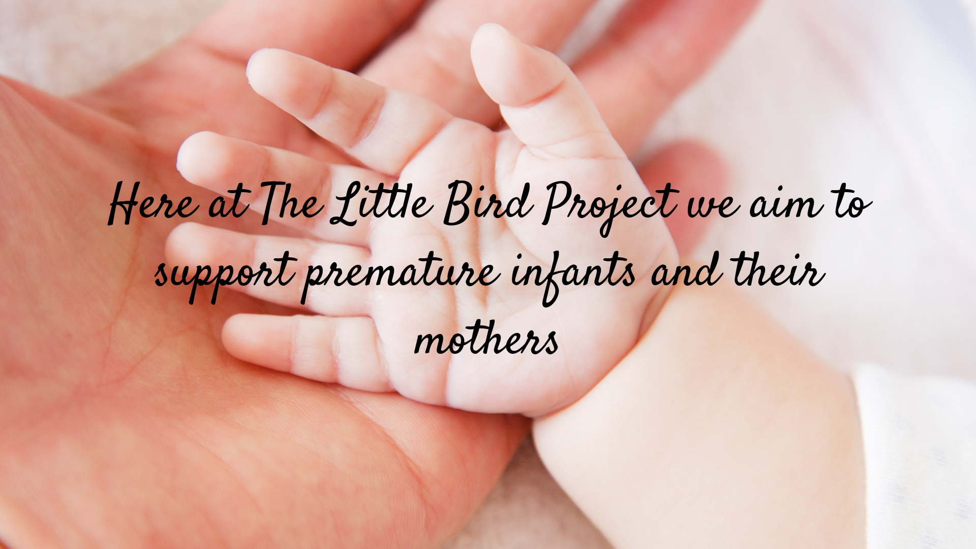 The Little Bird Project
