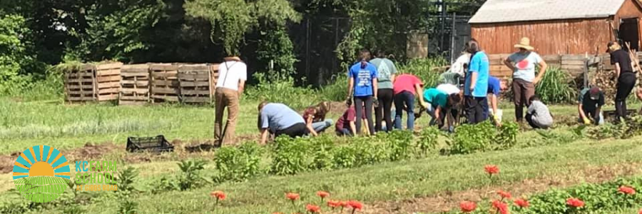 Our Mission, Vision & Practices — KC Farm School at Gibbs Road