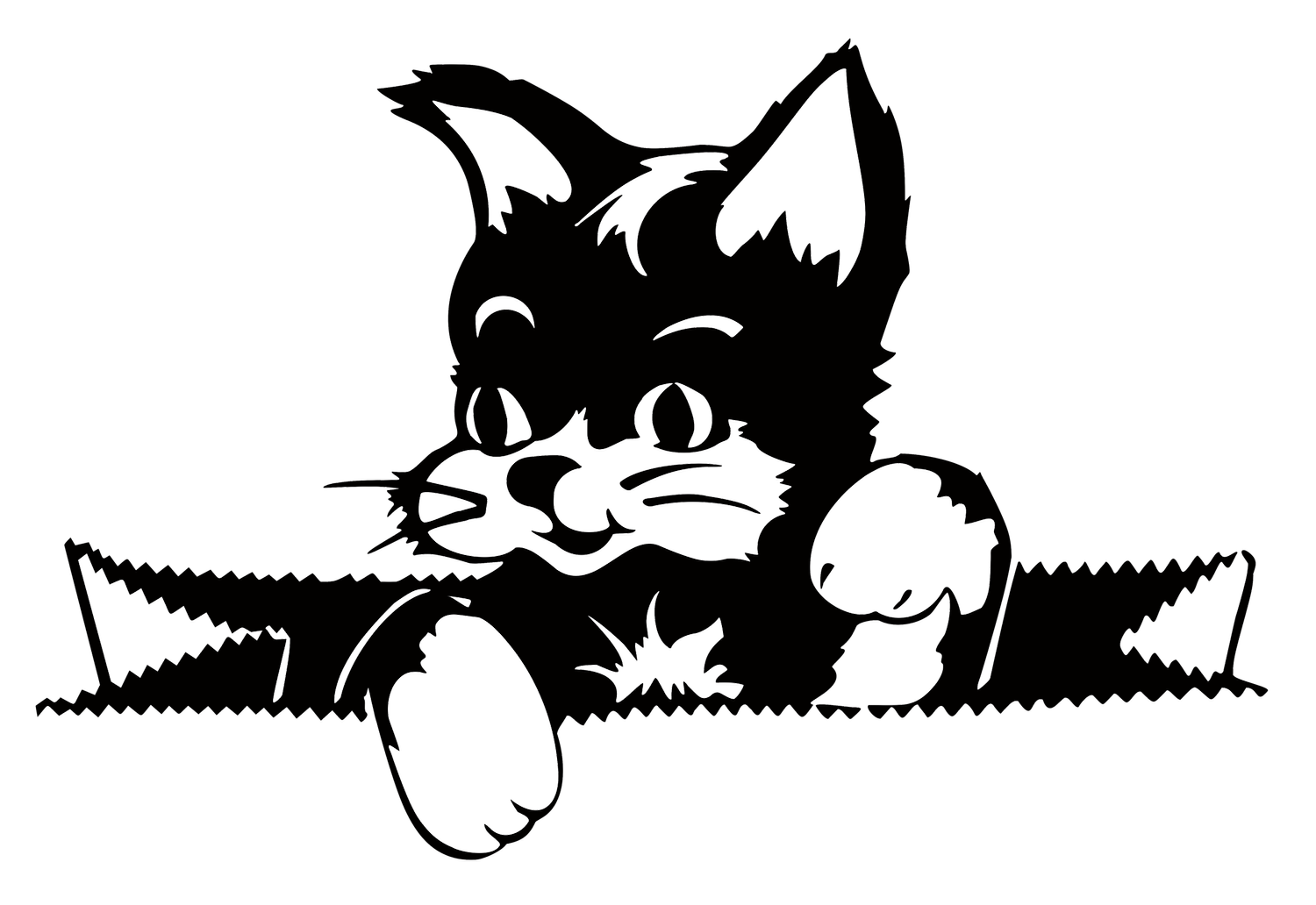 Cat Napps — Cattery in Thirsk, North Yorkshire