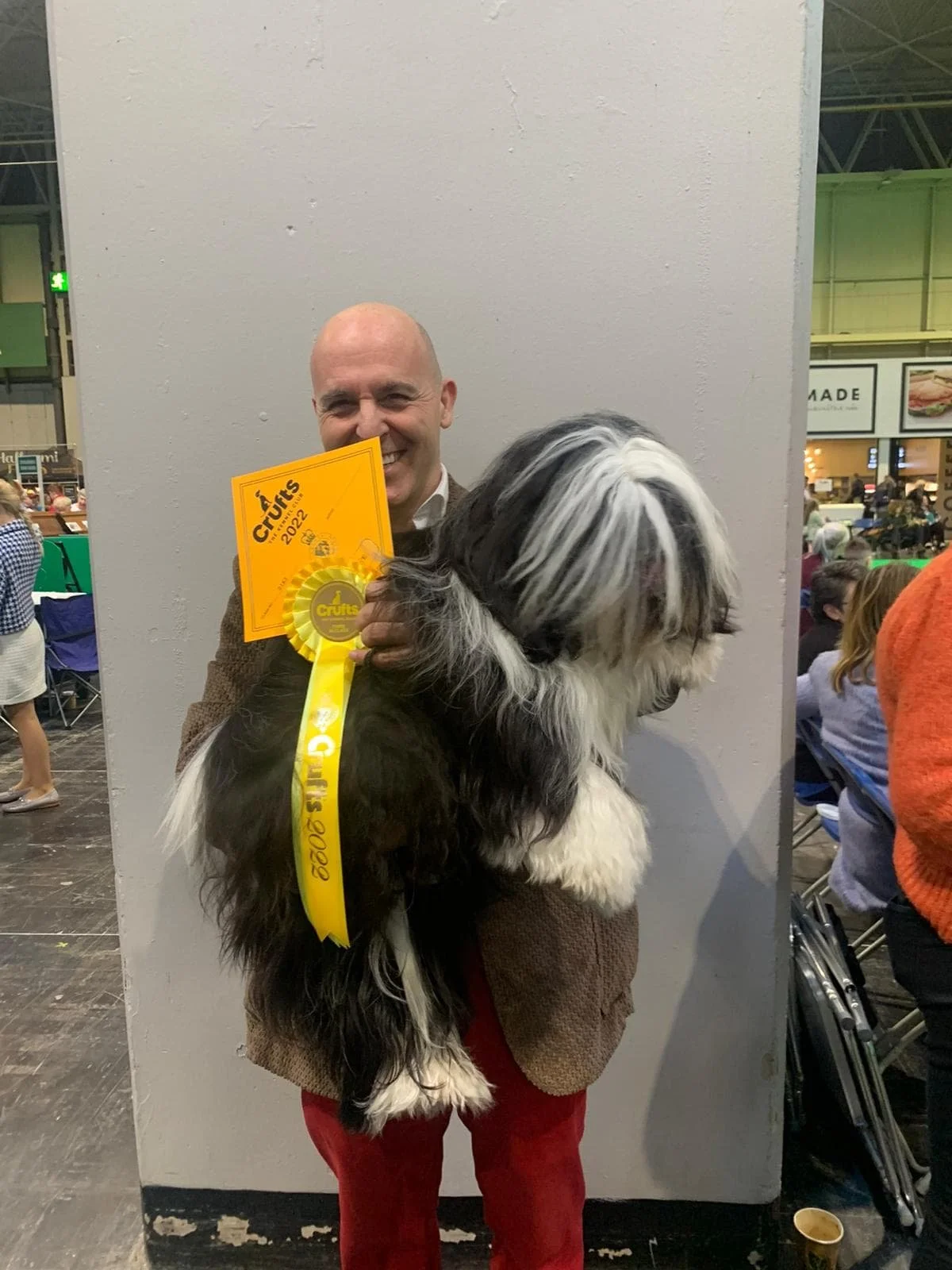 Ringcraft Results — Warlingham Dog Training Club