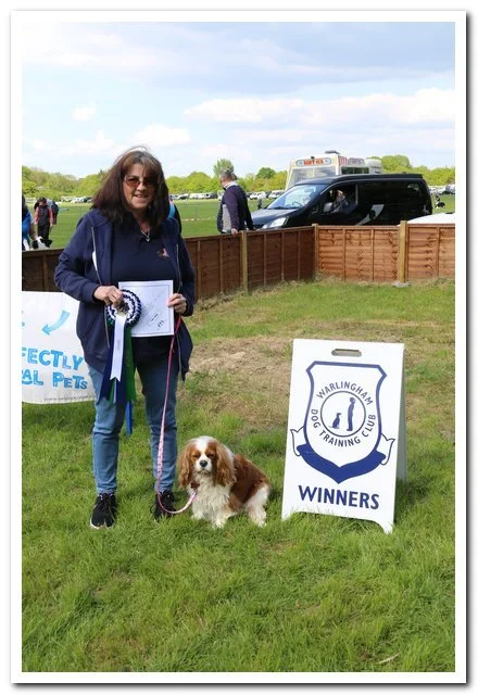 Trainers — Warlingham Dog Training Club