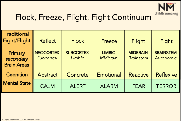 Teaching the Dysregulated Child — KathyMcginn.com