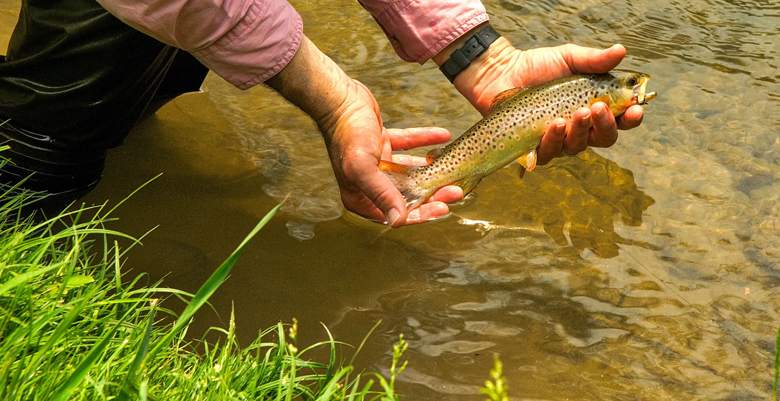 Pennsylvania Trout Guide