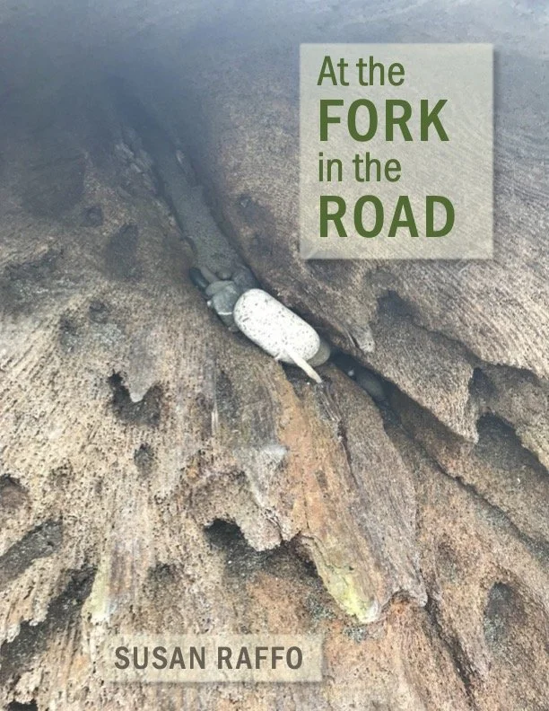 about — Susan Raffo