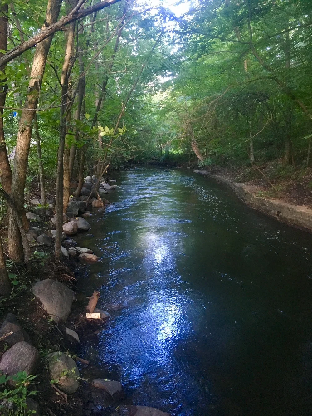 the walk — Susan Raffo