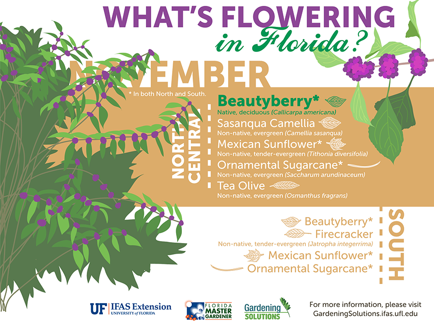 Calendar of Local Bee-Friendly Events - Heartland Beekeepers ...