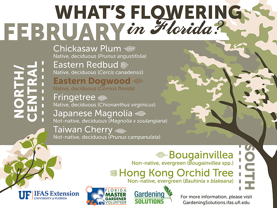 Calendar of Local Bee-Friendly Events - Heartland Beekeepers ...
