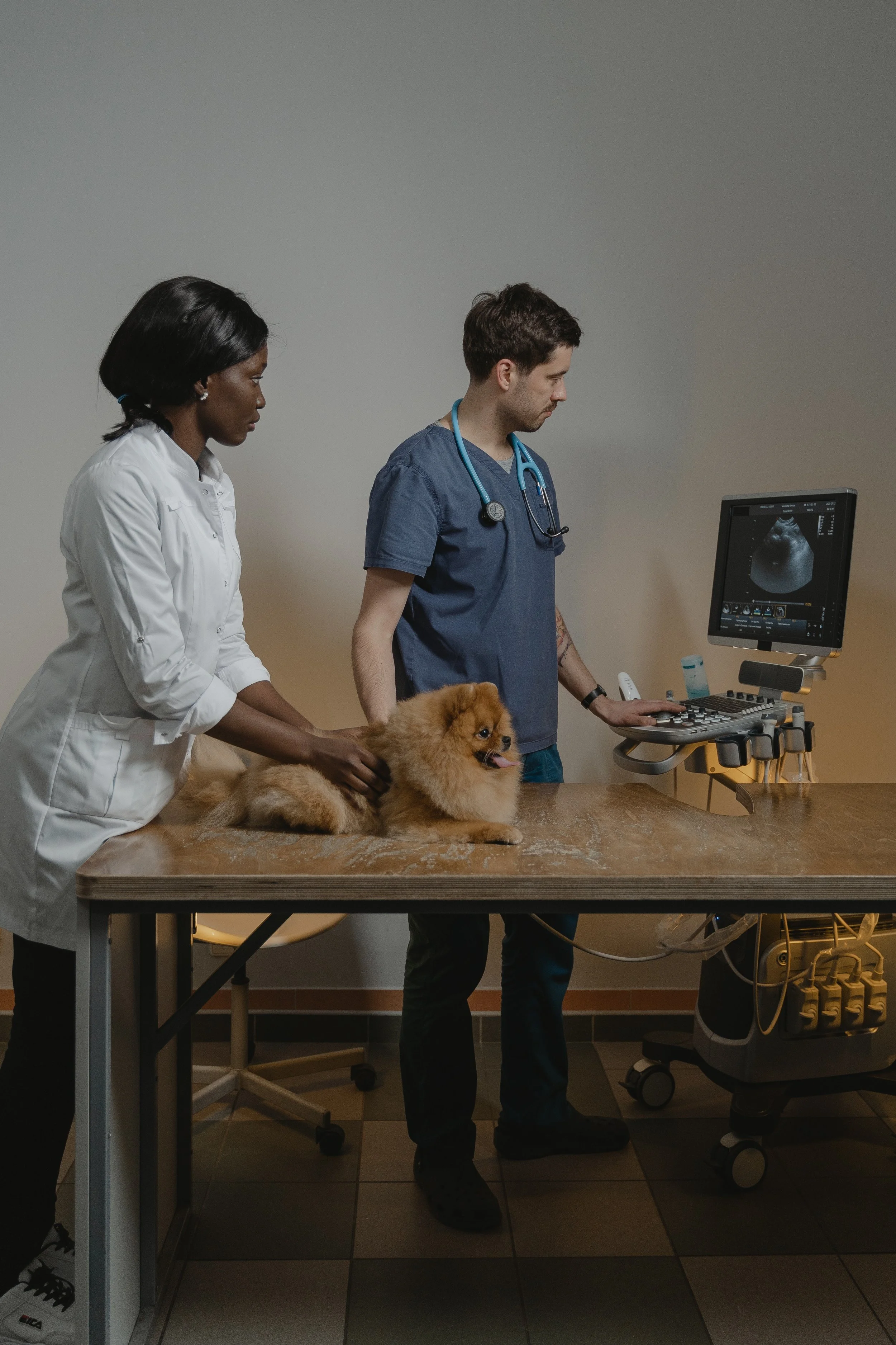 Best HBCU Veterinary Schools — The HBCU Career Center