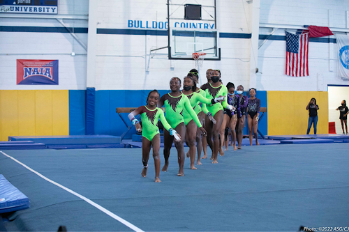 Brown Girls Do Gymnastics is a Force Supporting Brown Gymnasts — The ...