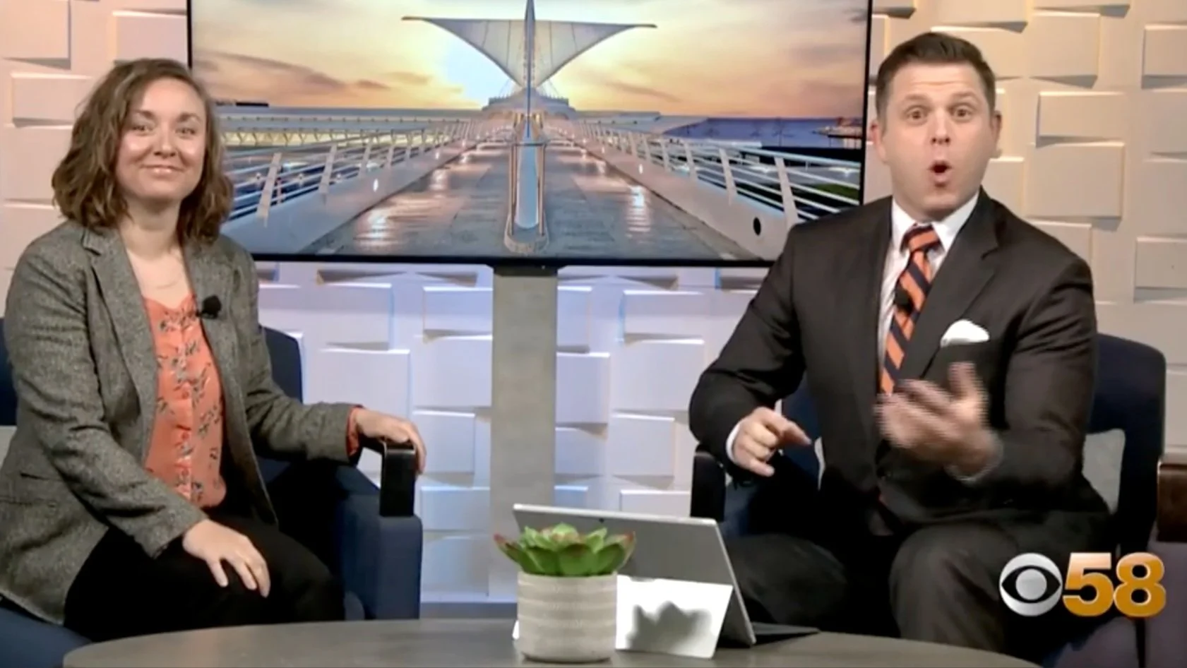 Dr. Chelsea Cook talks "No Mow May" on CBS 58 — The Cook Lab