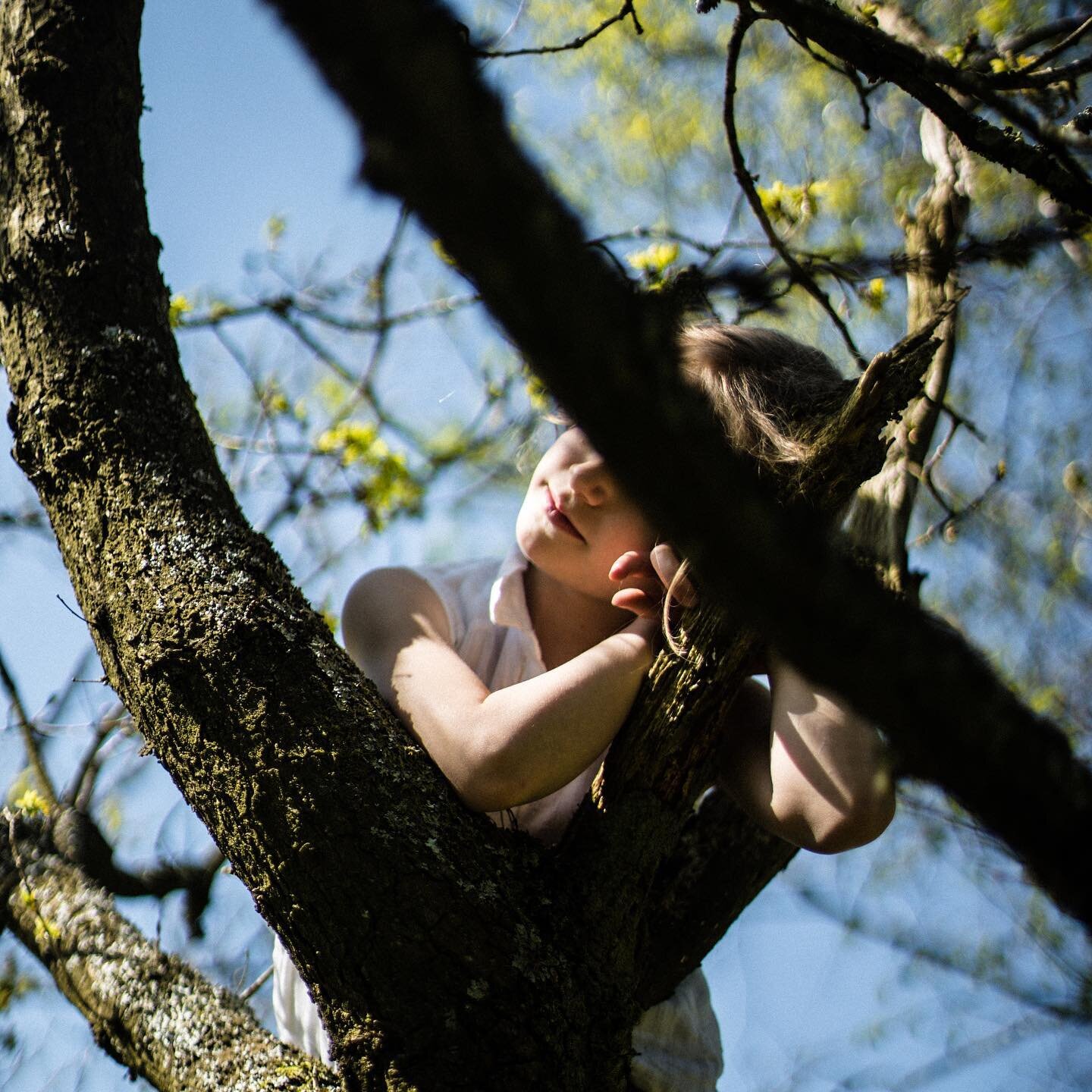 Hayley Newell Counselling