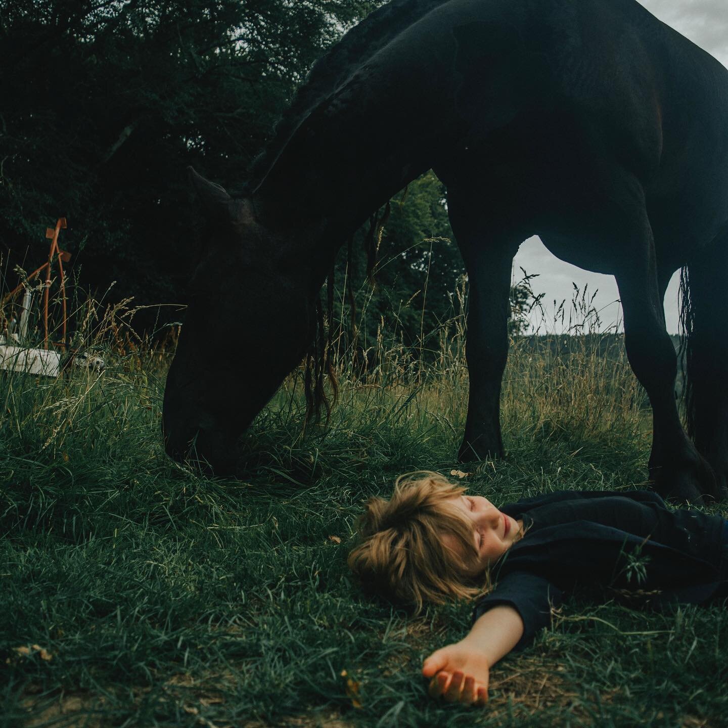 Hayley Newell Counselling